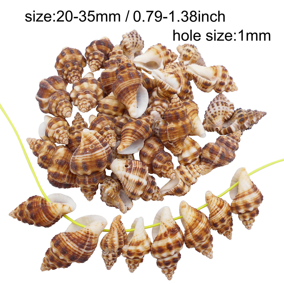 4/10Pcs Natural Scallop Conch Shell with Hole Beach Sea Sell Bead for ...